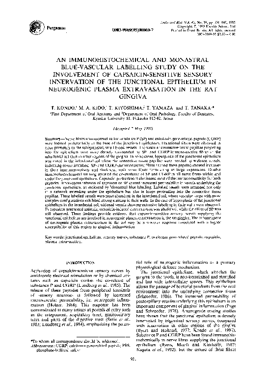 (PDF) An immunohistochemical and monastral blue-vascular labelling ...