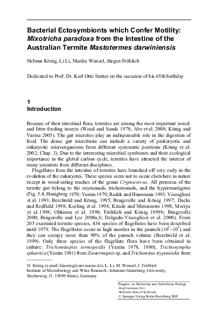 (PDF) Bacterial Ectosymbionts which Confer Motility: Mixotricha ...