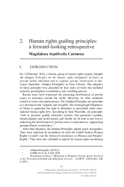 (PDF) Human rights guiding principles: A forward-looking retrospective