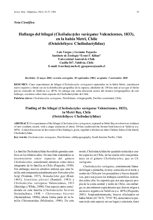 (PDF) Hallazgo del bilagai (Cheilodactylus variegatus Valenciennes ...
