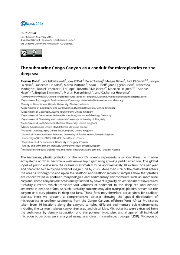 (PDF) The submarine Congo Canyon as a conduit for microplastics to the ...