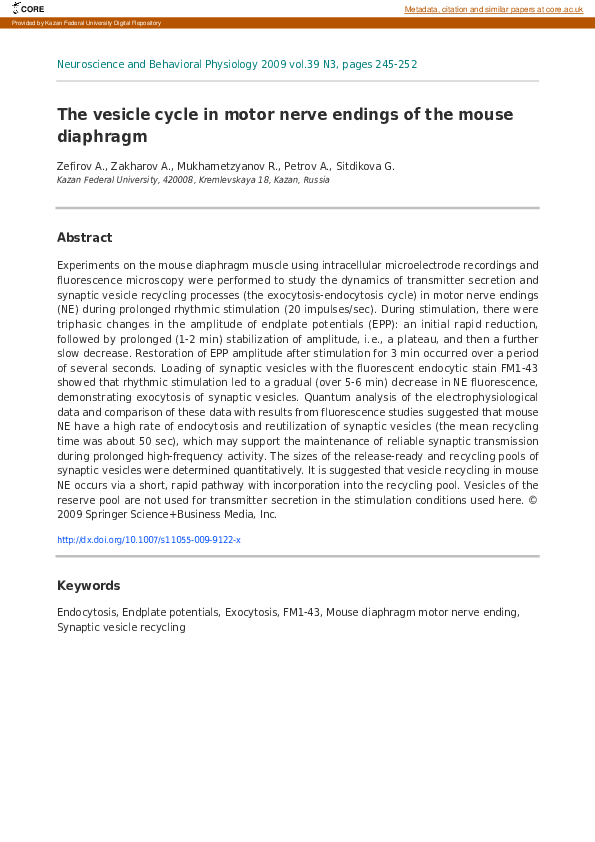 (PDF) The vesicle cycle in motor nerve endings of the mouse diaphragm