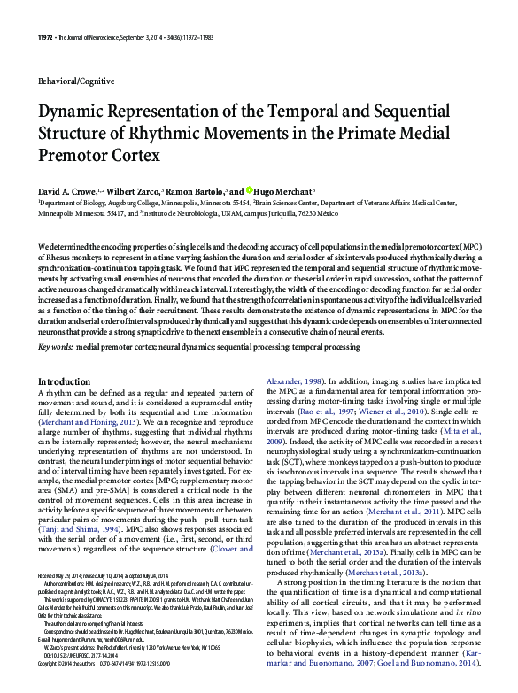 (PDF) Dynamic representation of the temporal and sequential structure ...