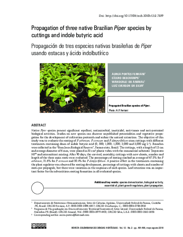 (PDF) Propagation of three native Brazilian Piper species by cuttings ...
