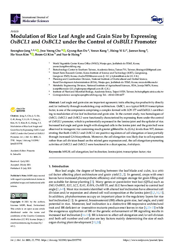 (PDF) Modulation of Rice Leaf Angle and Grain Size by Expressing OsBCL1 ...