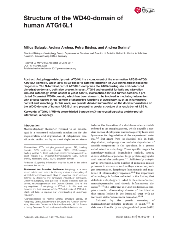 (PDF) Structure of the WD40-domain of human ATG16L1 | Archna Archna ...