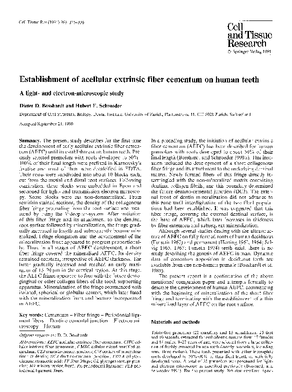 (PDF) Establishment of acellular extrinsic fiber cementum on human teeth