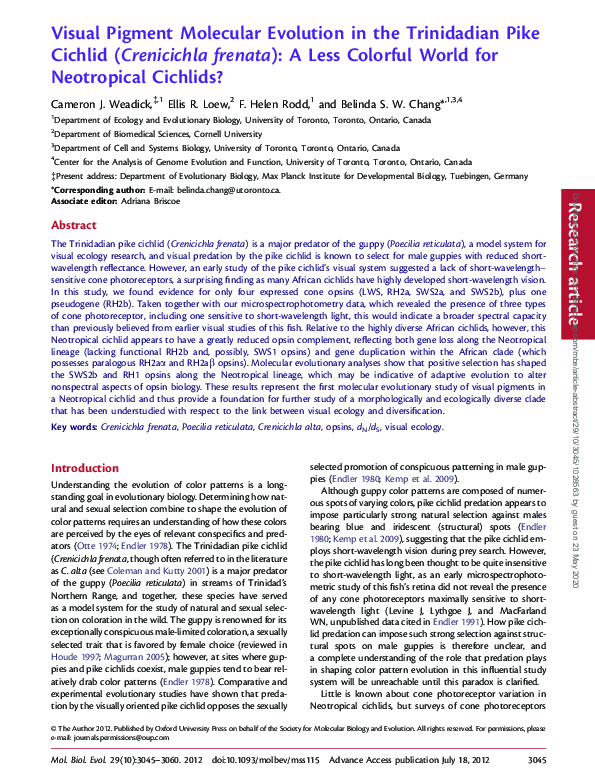 (PDF) Visual Pigment Molecular Evolution in the Trinidadian Pike ...