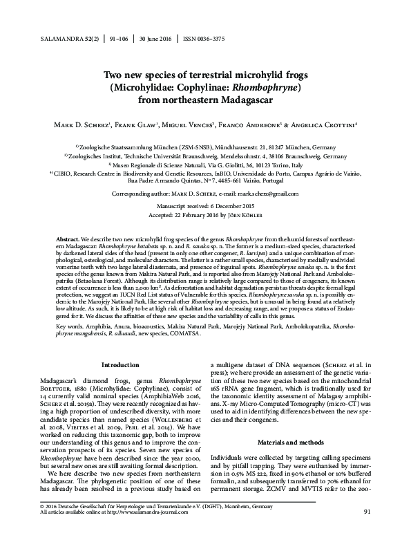 (PDF) Two new species of terrestrial microhylid frogs (Microhylidae ...