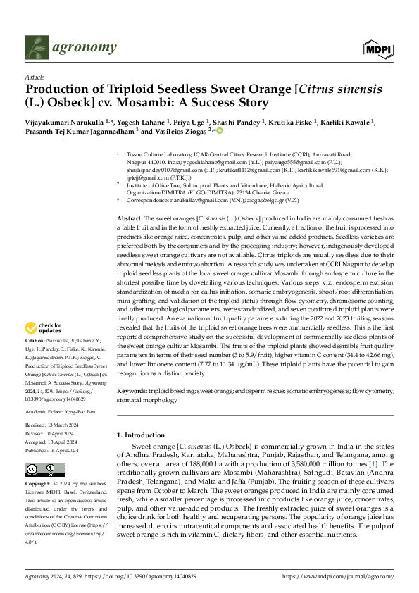 (PDF) Production of Triploid Seedless Sweet Orange [Citrus sinensis (L ...
