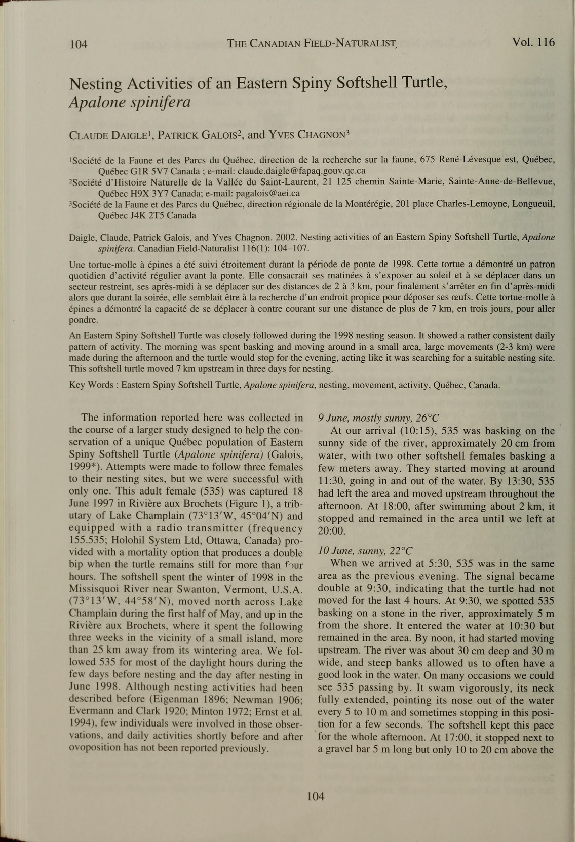 (PDF) Nesting activities of an Eastern Spiny Softshell Turtle, Apalone ...
