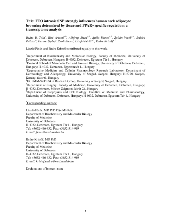 (PDF) FTO intronic SNP strongly influences human neck adipocyte ...