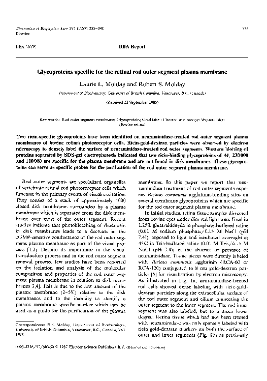 (PDF) Glycoproteins specific for the retinal rod outer segment plasma ...