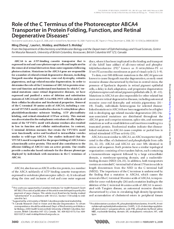 (PDF) Role of the C Terminus of the Photoreceptor ABCA4 Transporter in ...