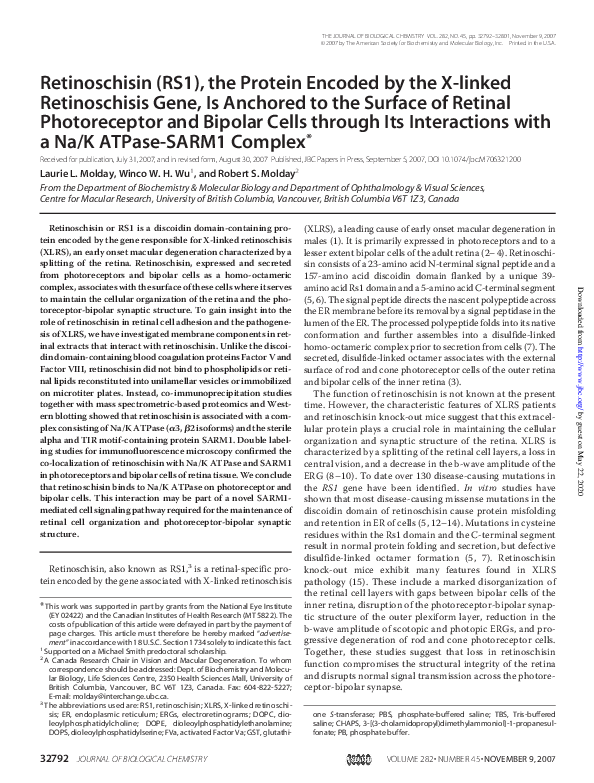 (PDF) Retinoschisin (RS1), the Protein Encoded by the X-linked ...