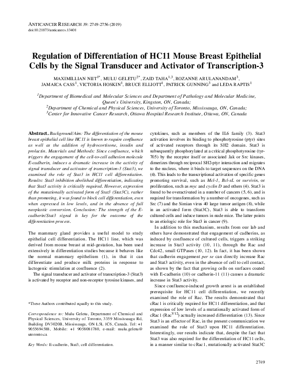 (PDF) Regulation of Differentiation of HC11 Mouse Breast Epithelial ...