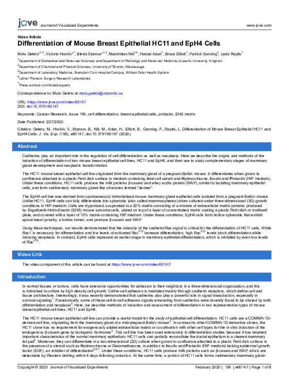 (PDF) Differentiation of Mouse Breast Epithelial HC11 and EpH4 Cells ...