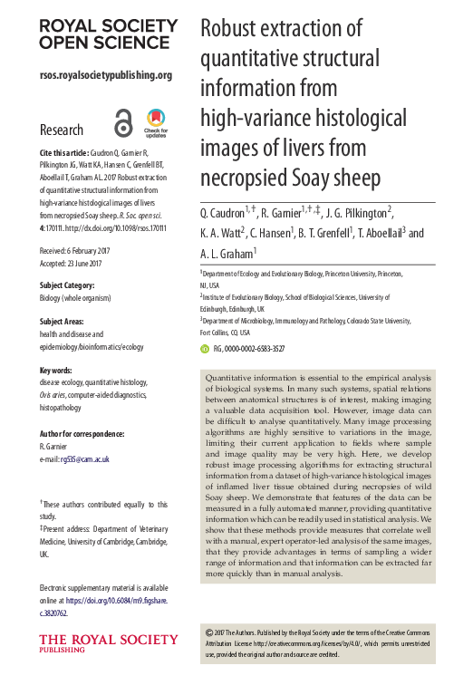 (PDF) Robust Image Processing for Quantitative Liver Analysis in Sheep
