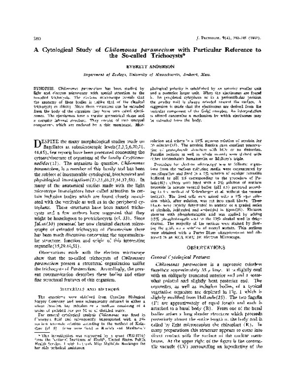 (PDF) A Cytological Study of Chilomonas paramecium with Particular ...