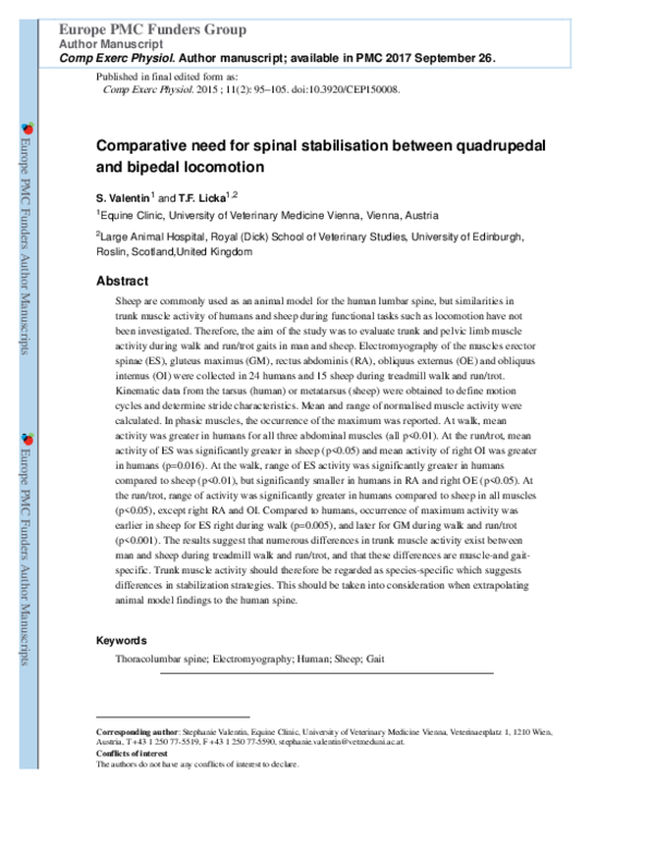 (PDF) Comparative need for spinal stabilisation between quadrupedal and bipedal locomotion ...