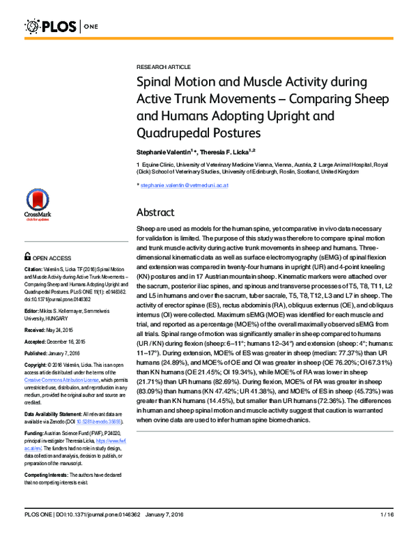 (PDF) Spinal Motion and Muscle Activity during Active Trunk Movements ...