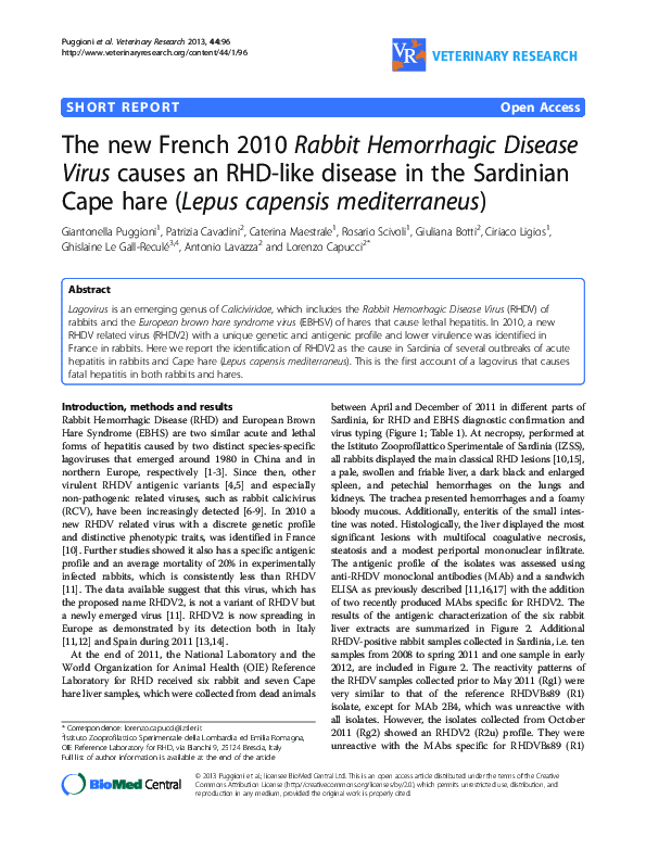 (PDF) The new French 2010 Rabbit Hemorrhagic Disease Virus causes an ...
