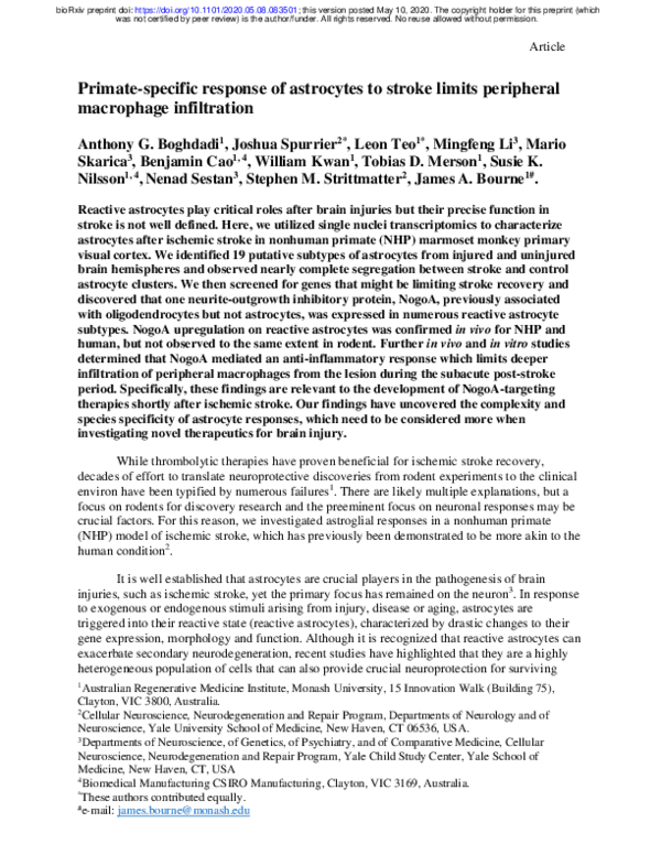 (PDF) Primate-specific response of astrocytes to stroke limits ...