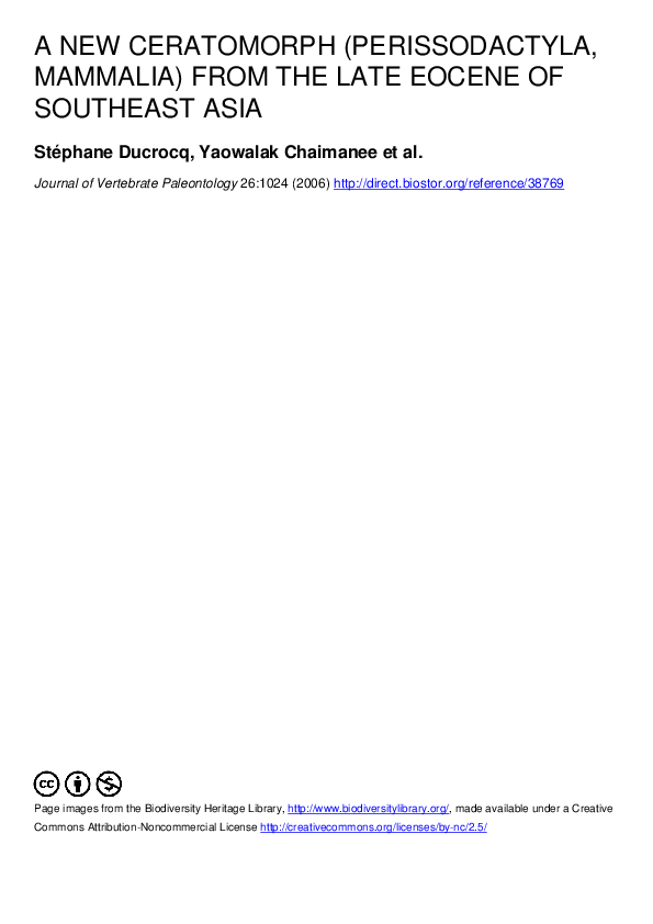 (PDF) A New Ceratomorph (Perissodactyla, Mammalia) from the Late Eocene of Southeast Asia