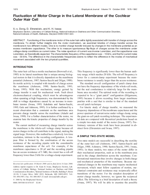 (PDF) Fluctuation of Motor Charge in the Lateral Membrane of the ...