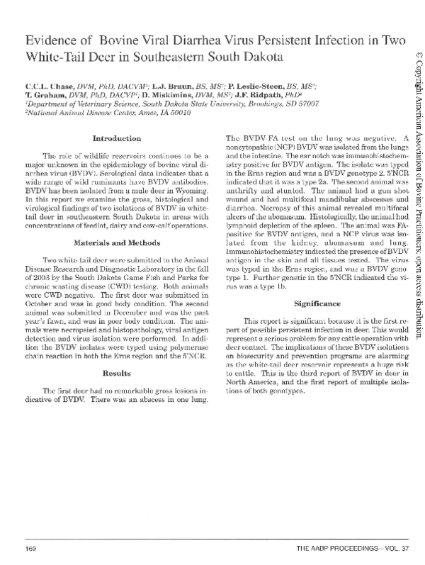 (PDF) Evidence of Bovine Viral Diarrhea Virus Persistent Infection in ...