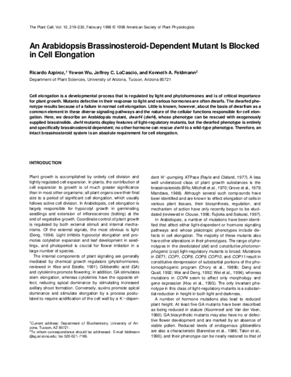 (PDF) An Arabidopsis Brassinosteroid-Dependent Mutant Is Blocked in ...
