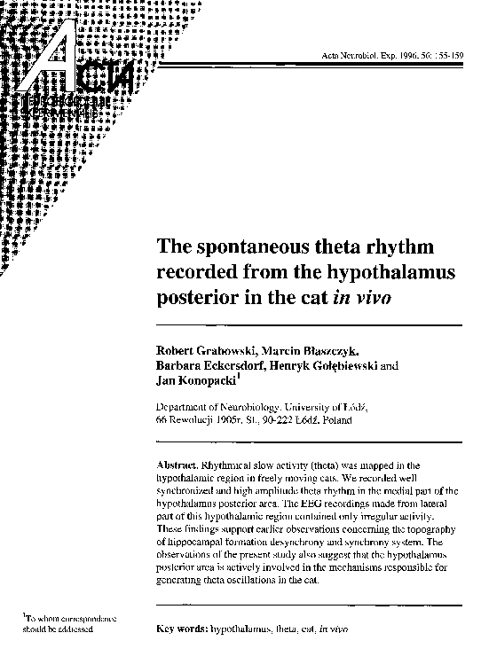 (PDF) The spontaneous theta rhythm recorded from the hypothalamus ...