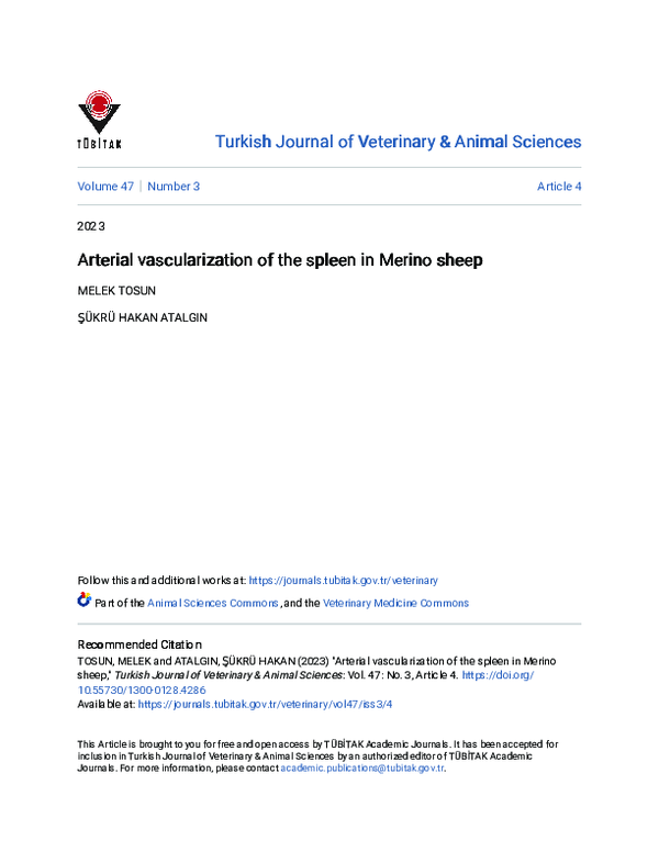 (PDF) Arterial vascularization of the spleen in Merino sheep