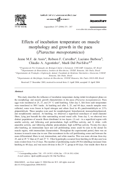 (PDF) Effects of incubation temperature on muscle morphology and growth ...