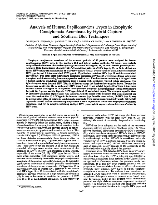 (PDF) Analysis of human papillomavirus types in exophytic condylomata ...