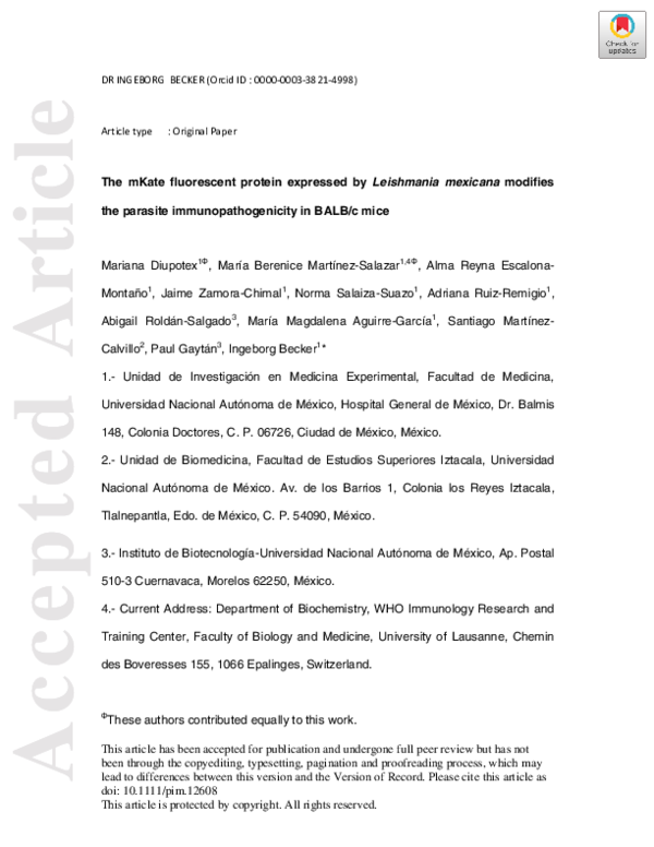 (PDF) The mKate fluorescent protein expressed by Leishmania mexicana ...