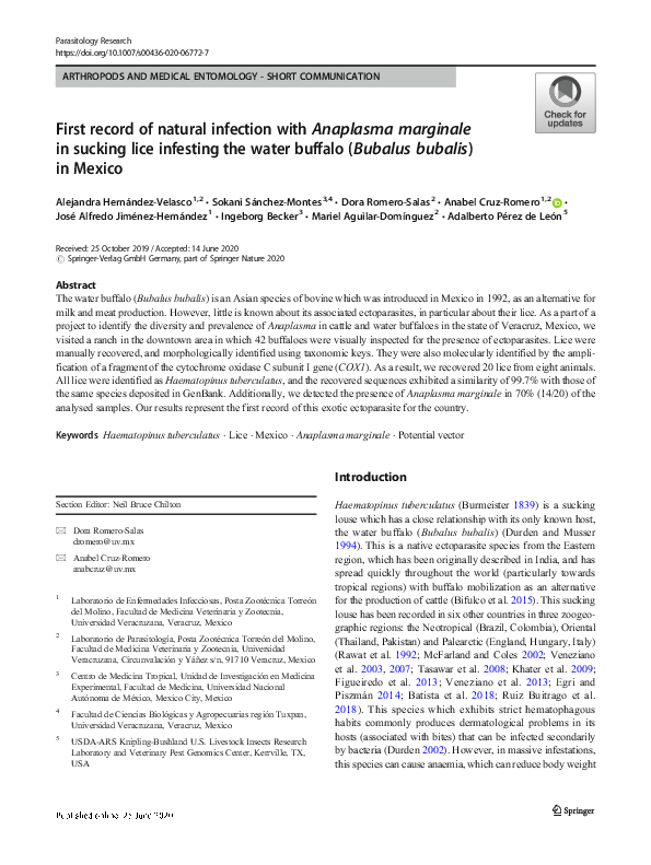 (PDF) First record of natural infection with Anaplasma marginale in ...