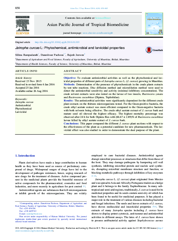 (PDF) Jatropha curcas L: Phytochemical, antimicrobial and larvicidal ...