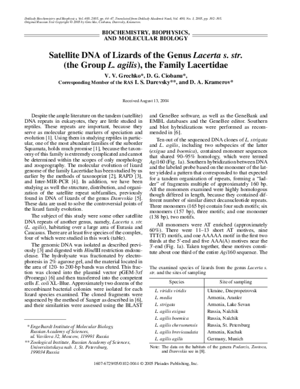 (PDF) Satellite DNA of lizards of the genus Lacerta s. str. (the group ...