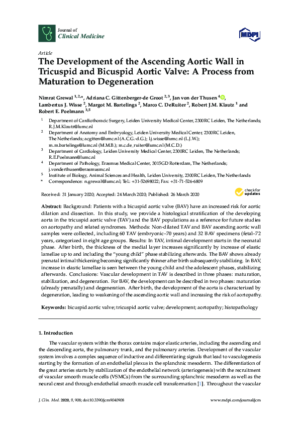 (PDF) The Development of the Ascending Aortic Wall in Tricuspid and ...