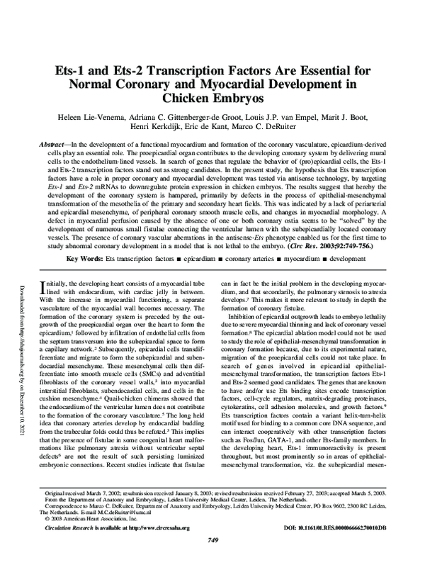 (PDF) Ets-1 and Ets-2 Transcription Factors Are Essential for Normal ...