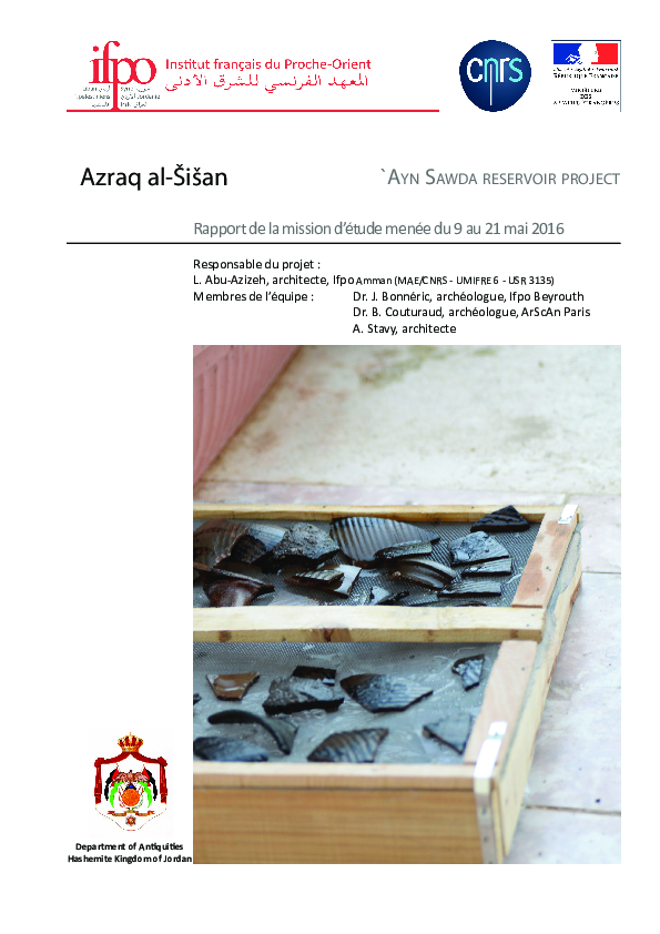 (PDF) Azraq al-Šišan, ‘Ayn Sawda Reservoir Project. Rapport de la ...