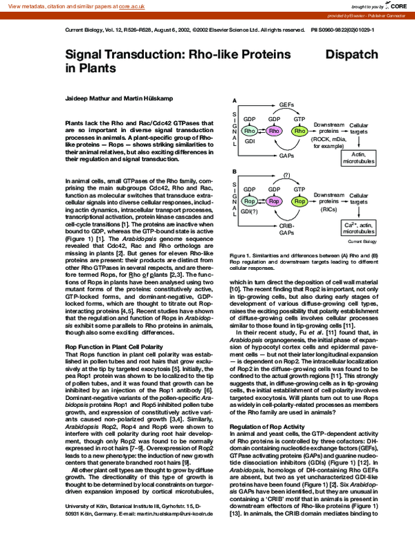 (PDF) Signal Transduction: Rho-like Proteins in Plants Dispatch