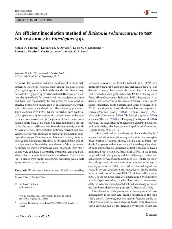 (PDF) An efficient inoculation method of Ralstonia solanacearum to test ...