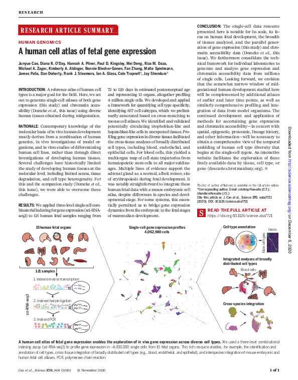 (PDF) A human cell atlas of fetal gene expression