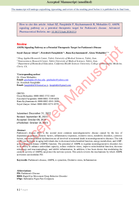 (PDF) AMPK signaling pathway as a potential therapeutic target for Parkinson's disease | Rana ...