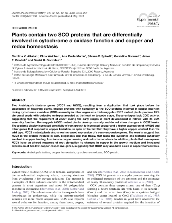 (PDF) Plants contain two SCO proteins that are differentially involved ...