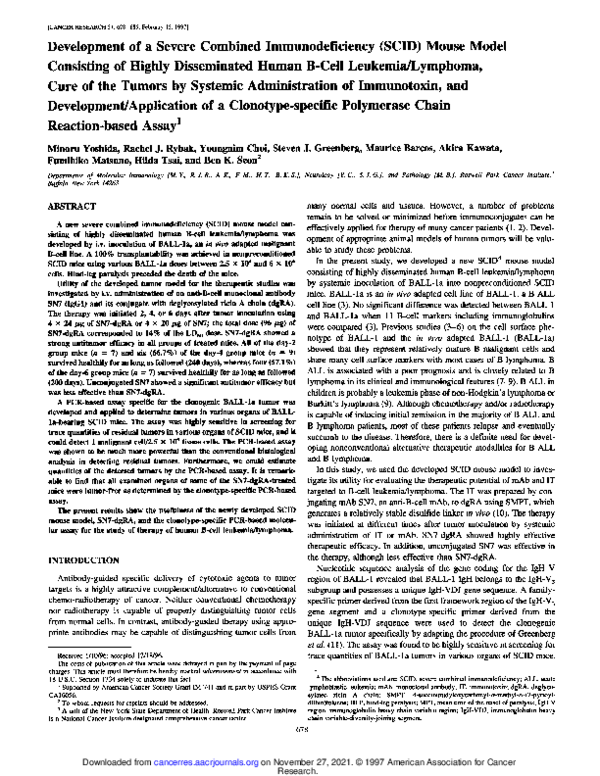 (PDF) Development of a severe combined immunodeficiency (SCID) mouse ...
