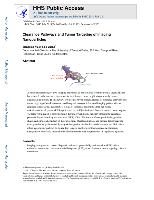 (PDF) Clearance Pathways and Tumor Targeting of Imaging Nanoparticles