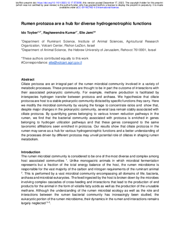 (PDF) Rumen protozoa are a hub for diverse hydrogenotrophic functions